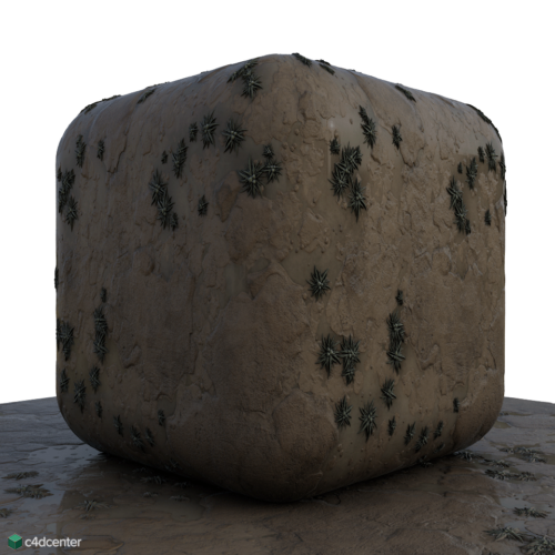 Sandy Rock Grass Clumps Water-C4D Material - C4DCenter