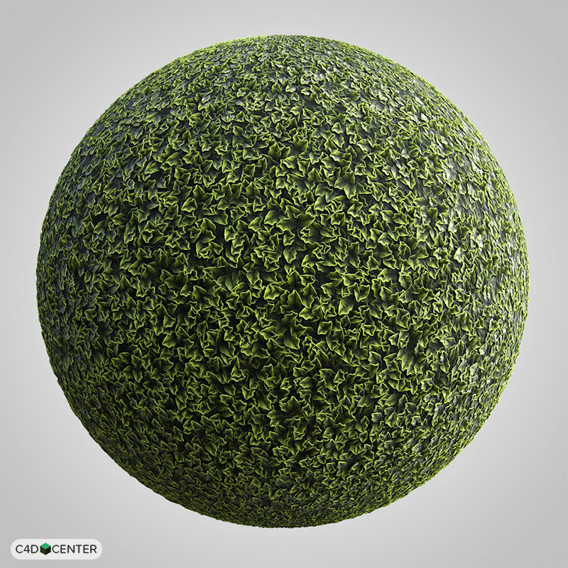 4K Stylized Bushes 01-C4D Material - C4DCenter